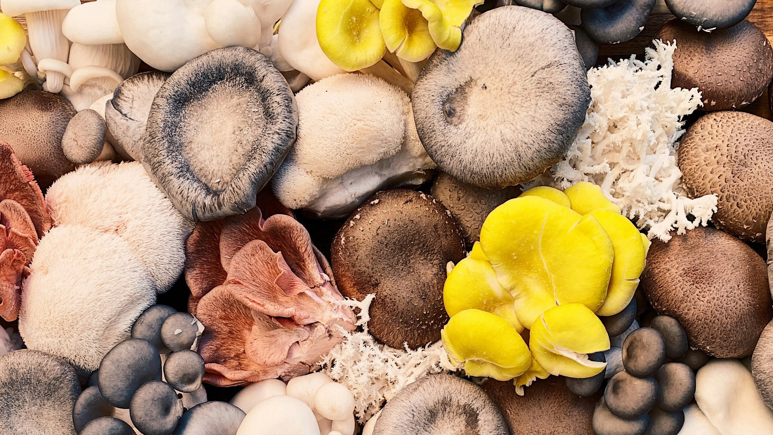 The art of noticing: a call for hybrid intelligence - MAIZE